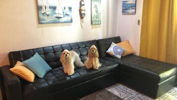 Apartamento Superior | Sala de estar | TV de ecrã plano