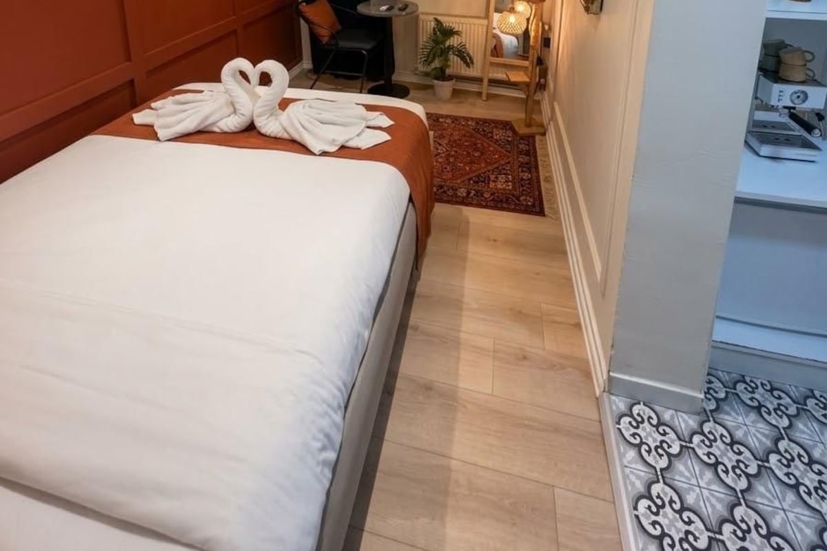 Quarto de hotel com cama, escrivaninha, cadeira, televisão, planta e pequena cozinha.