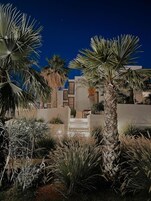Um edifício moderno com uma escadaria que leva à entrada, rodeado por diversos tipos de palmeiras e plantas do deserto.