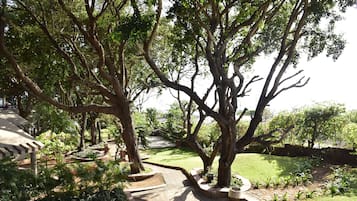 Jardim