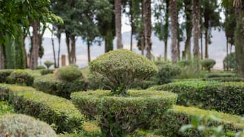 Jardim