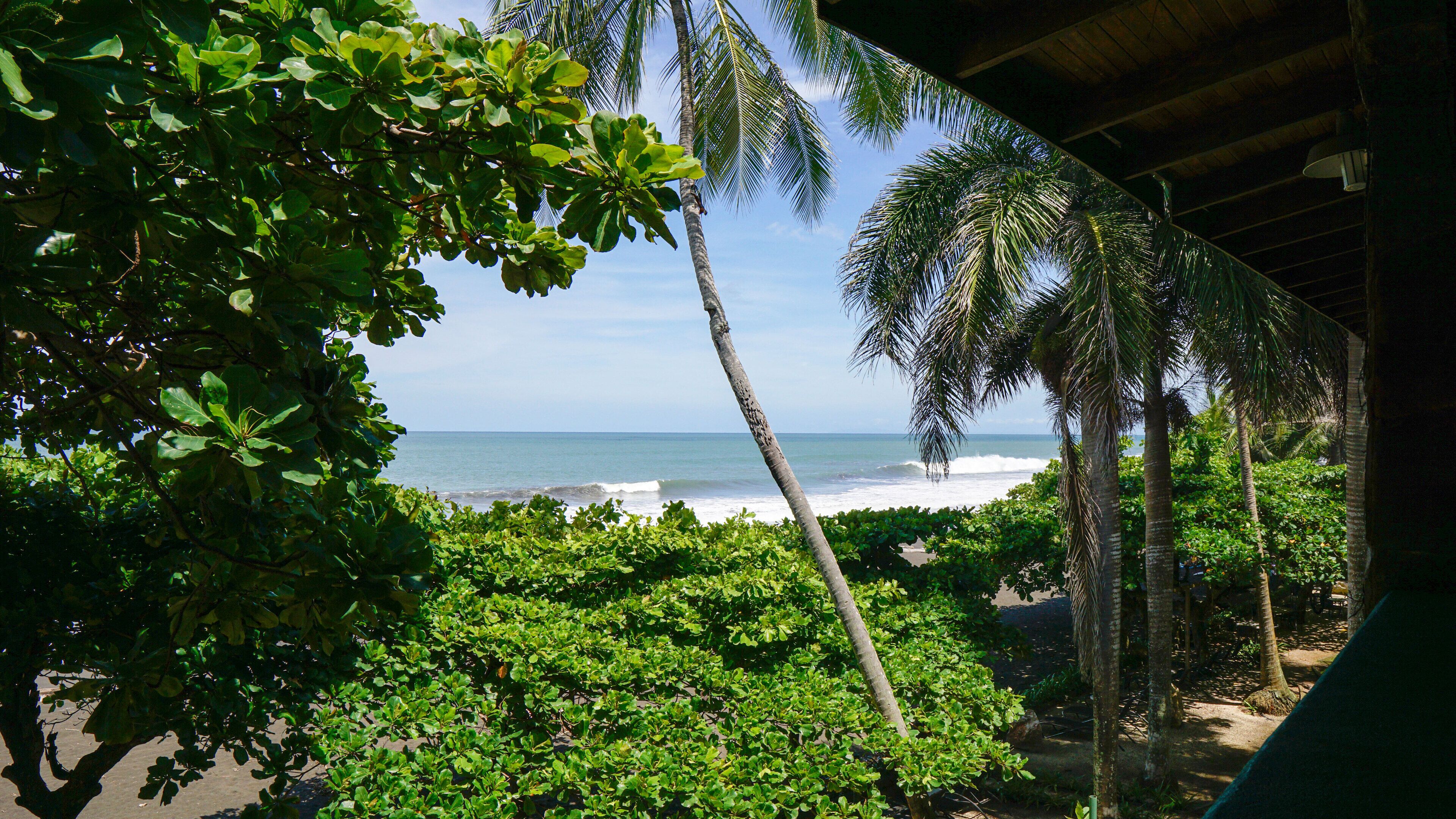 Vista de uma praia com palmeiras e céu claro.