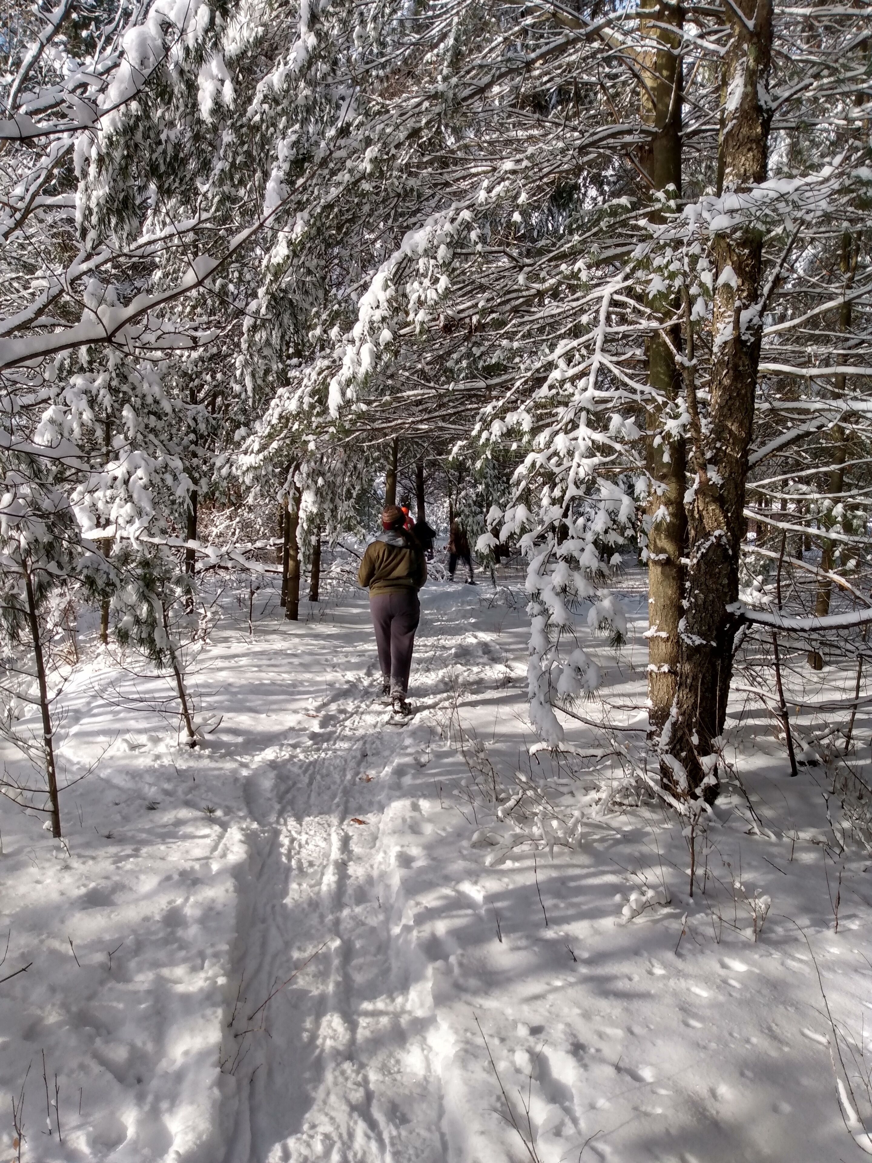 Uma trilha nevada em meio a árvores, com uma pessoa caminhando.