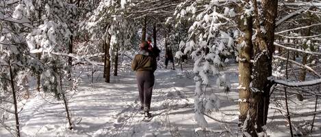 Uma trilha nevada em meio a árvores, com uma pessoa caminhando.
