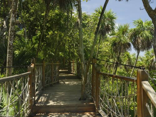 Kimpton Grand Roatan Resort And Spa, an IHG Hotel Reviews, Deals ...