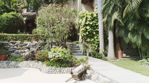 Terrenos do alojamento