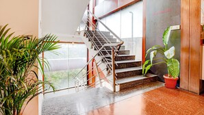 Escadaria interna moderna com corrimãos de metal e um vaso de planta ao lado.