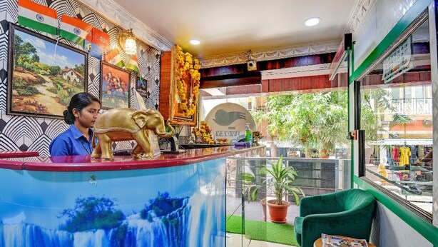 Uma área de recepção com um elefante decorativo, quadros emoldurados e vista para o exterior.