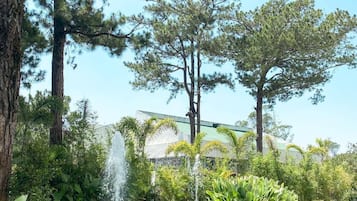 Jardim