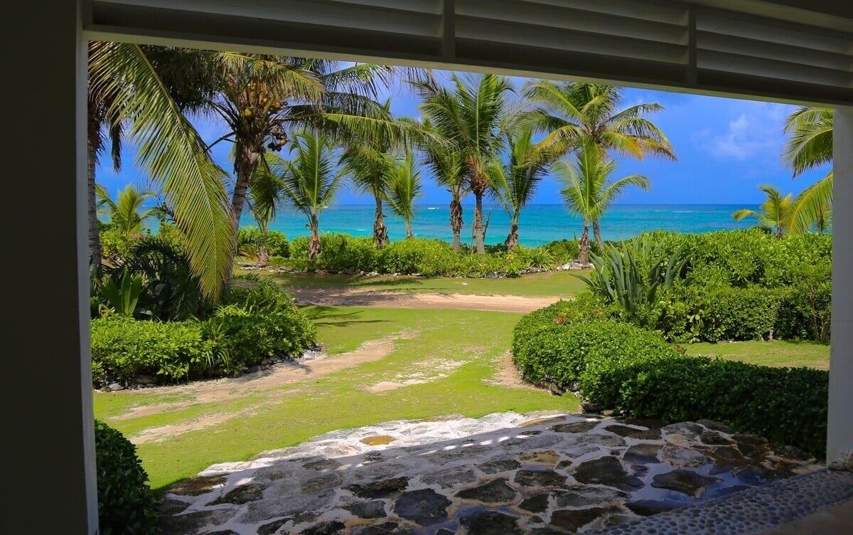 Um jardim tropical com palmeiras e vista para o oceano.