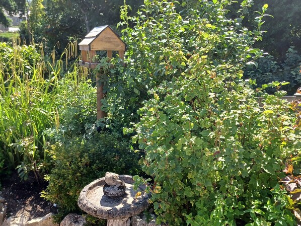 Casa de campo | Parte interna