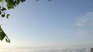 Vista de uma paisagem arborizada sob um céu limpo.