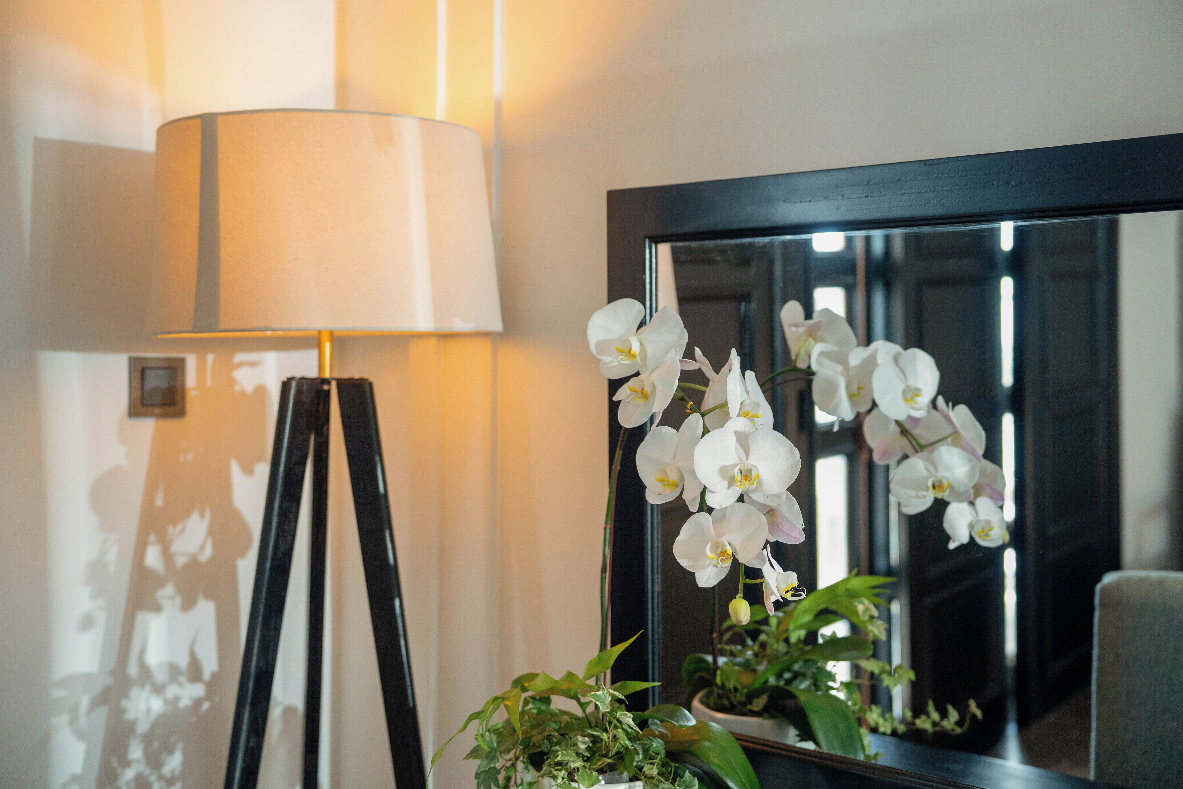 Um espelho reflete orquídeas brancas, um abajur e um vaso com planta.
