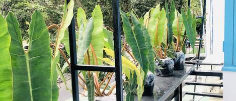 Fachada do alojamento