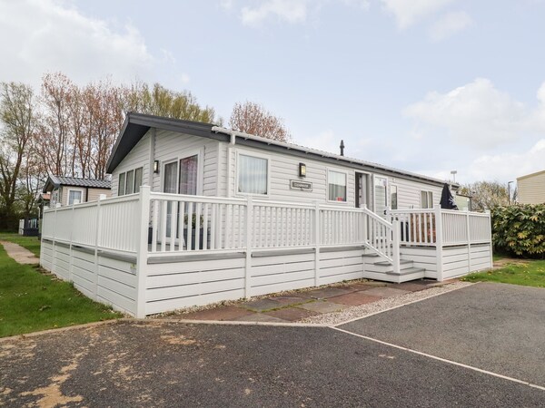 로젤라 38 - 모어캠