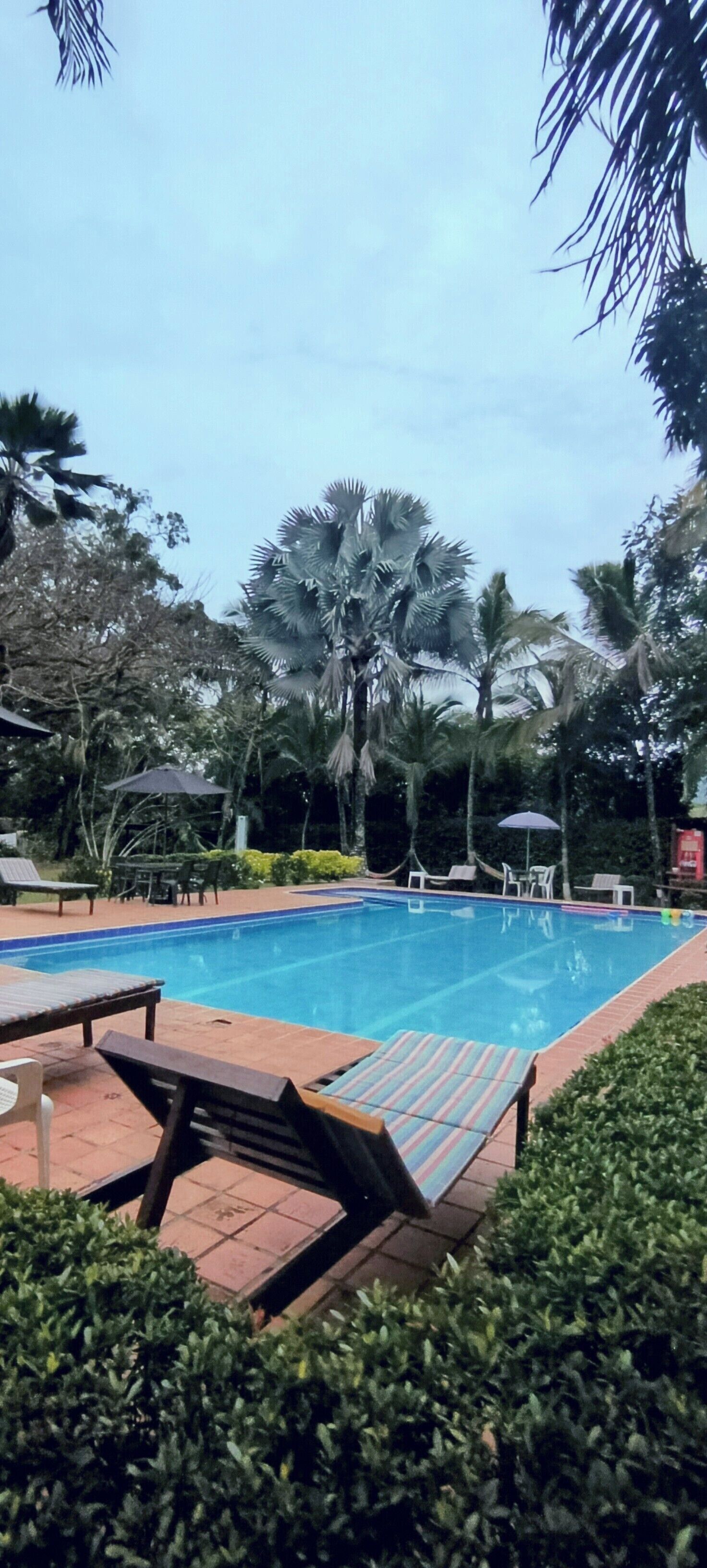 Piscina rodeada por palmeiras e espreguiçadeiras.