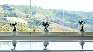 Três plantas em vasos numa janela com vista para colinas ondulantes.