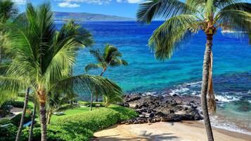 Apartamento em Condomínio Fechado, 2 quartos | Terrenos do alojamento