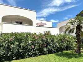 Apartamento básico, terraço | Terraço/pátio