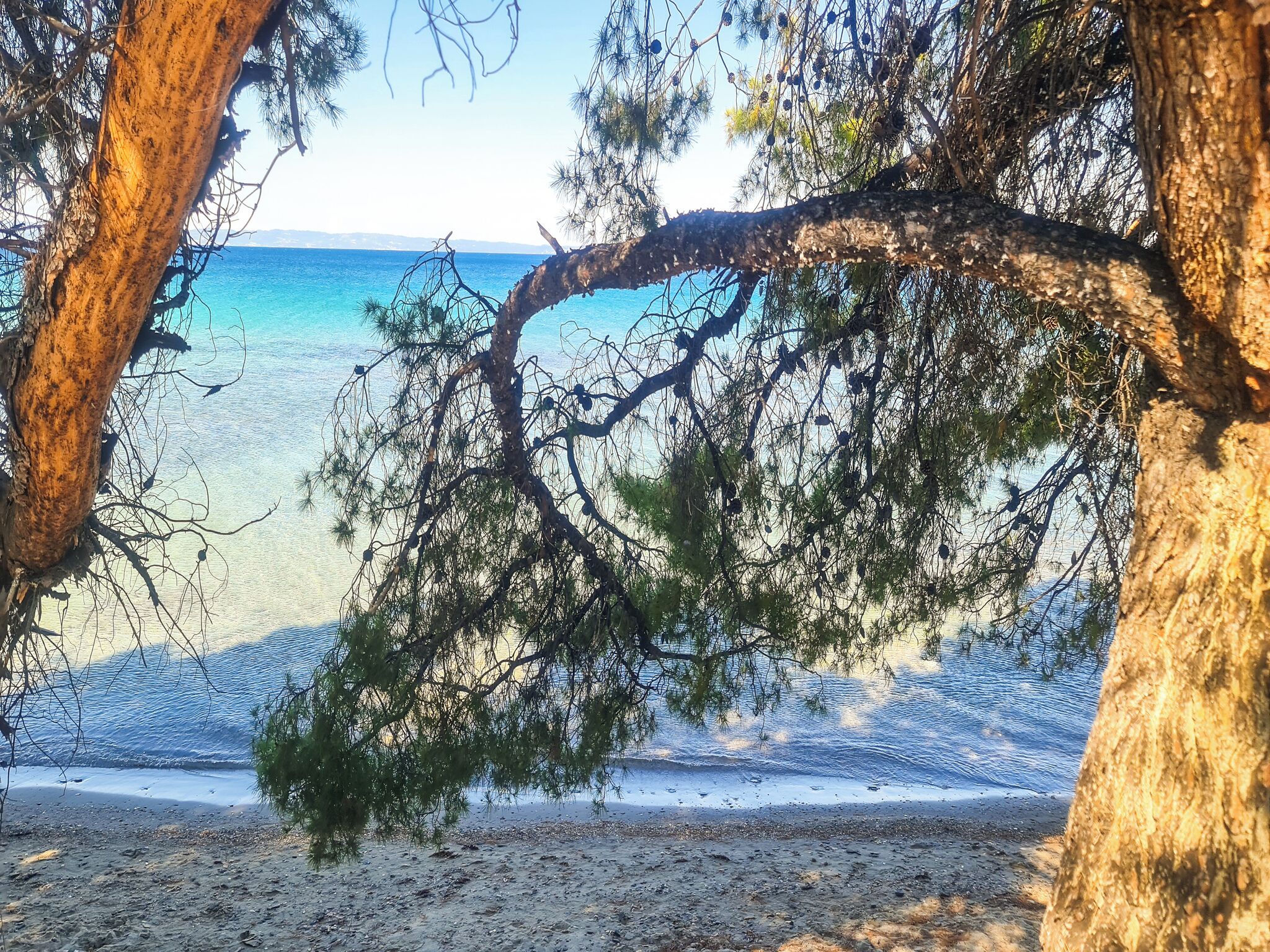 Apartamento, 4 quartos, sacada, vista para o oceano | Praia