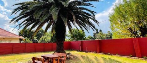 Terraço/pátio interior