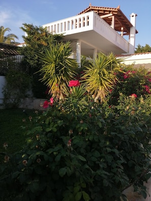 Vila, várias camas | Área da propriedade