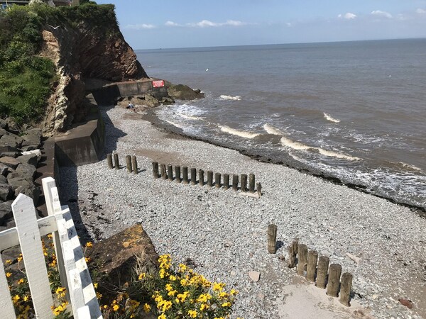 Oyster Catchers - Watchet