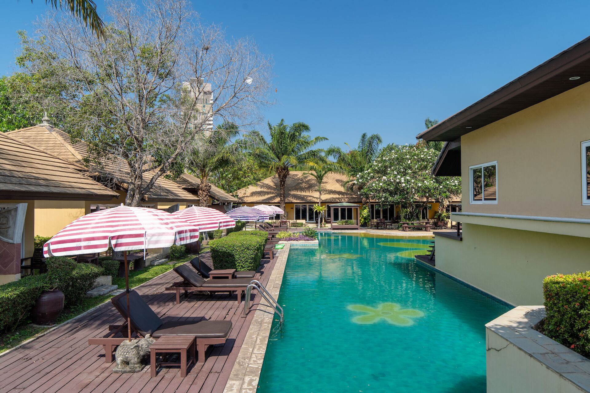 Área de piscina com espreguiçadeiras e guarda-sóis, cercada por edifícios e árvores.