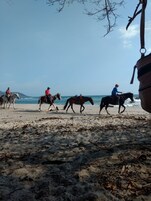 Passeios a cavalo