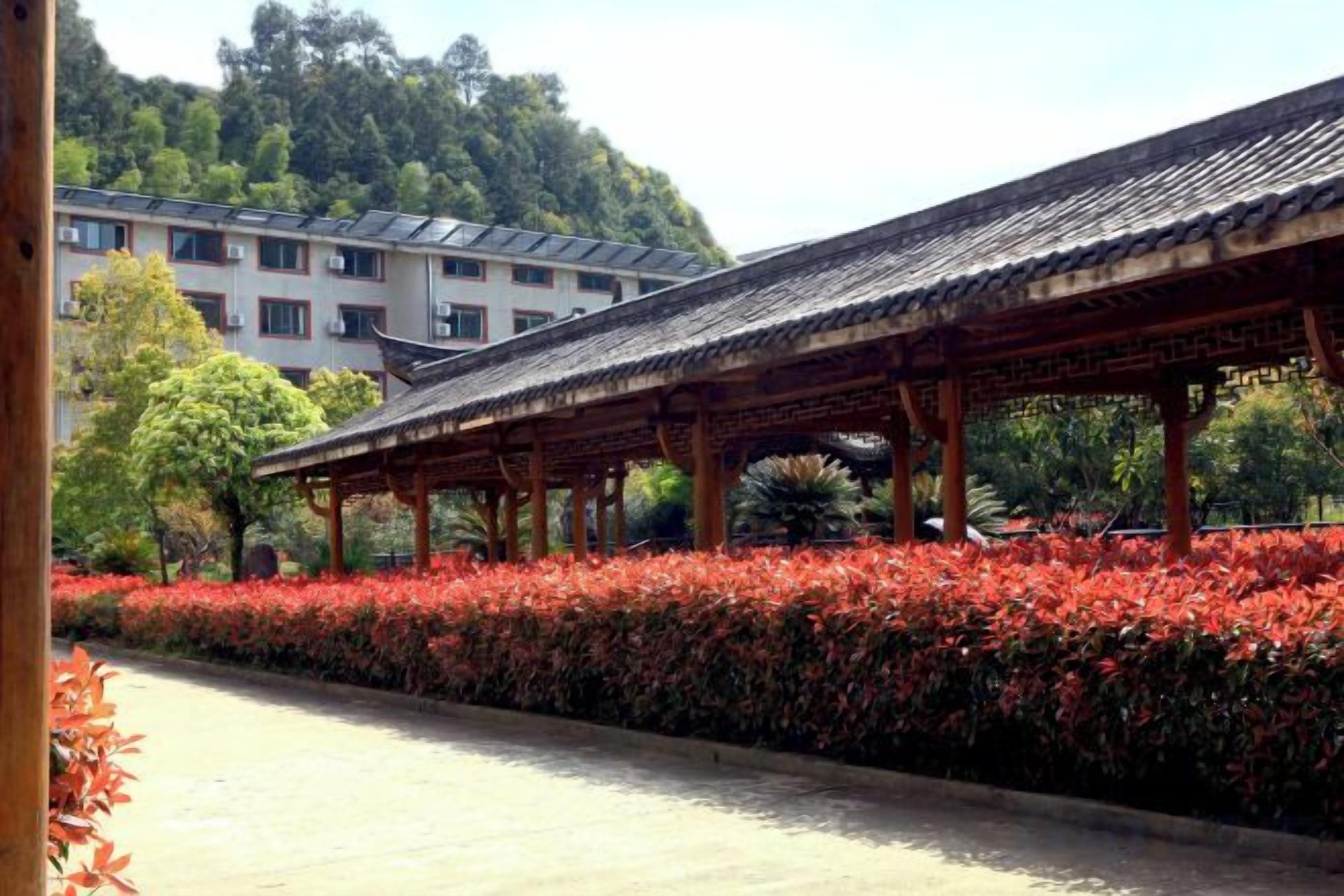 Um pavilhão tradicional com telhado em azulejos, cercado por um jardim bem cuidado com plantas floridas vermelhas.