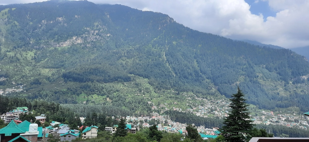 Mastiff Xanadu Manali - Manali