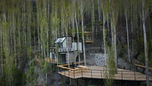 Um deck de madeira com mesas de piquenique e um pequeno edifício com varanda, cercado por árvores altas.