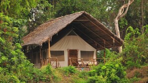 Uma cabana rústica com telhado de palha, rodeada por vegetação densa.