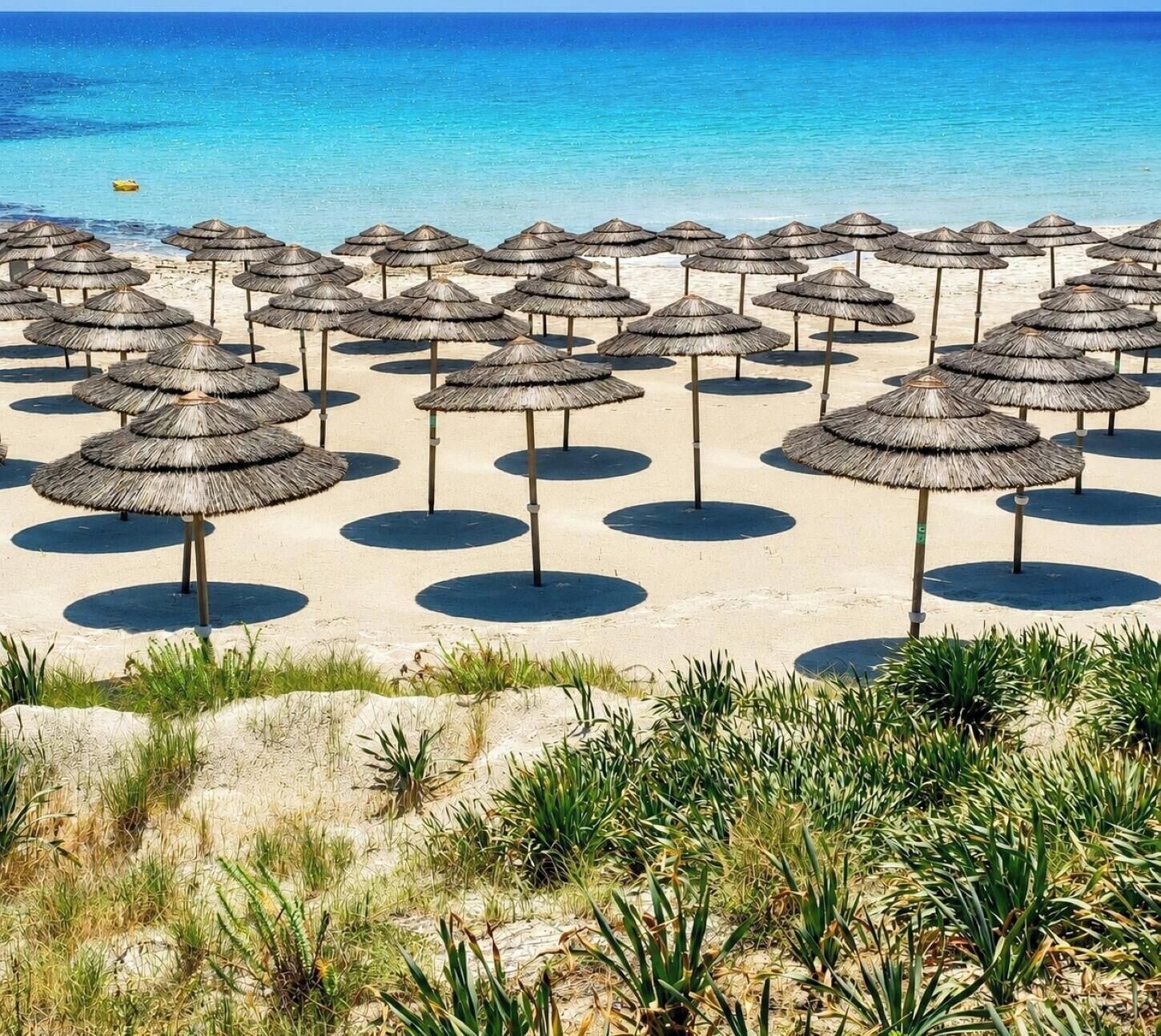 Uma praia com vários guarda-sóis de palha dispostos em fileiras.