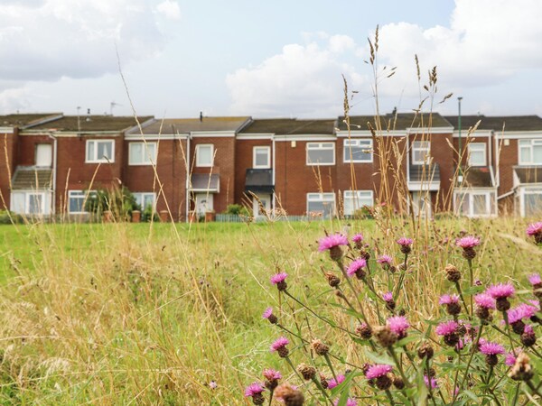 Sea View Cottage - South Shields