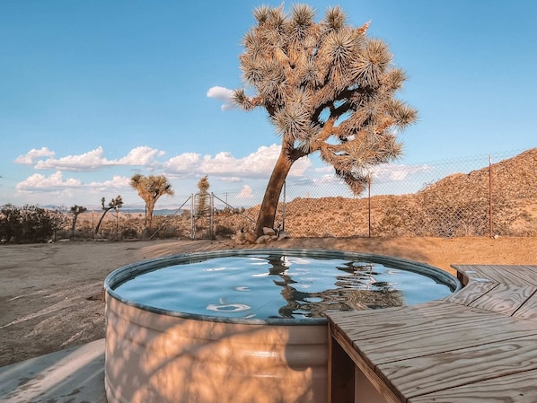 Walk into Joshua Tree Park, 10-Acres, Spa, Cowboy Pool & Views · Casa ...
