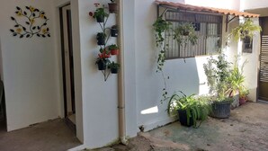 Um edifício branco com jardim vertical, uma janela com cortina e uma porta.
