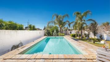 Uma piscina retangular com água azul cristalina, rodeada por um deck de pedra e palmeiras.
