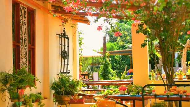 Um pátio externo acolhedor, com paredes amarelas, plantas em vasos e uma pérgula coberta de flores cor-de-rosa.