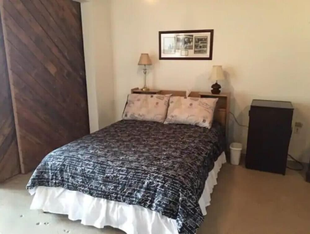 1831 House In Historic Old Towne Petersburg, Va - Petersburg, VA