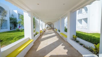 Jardim