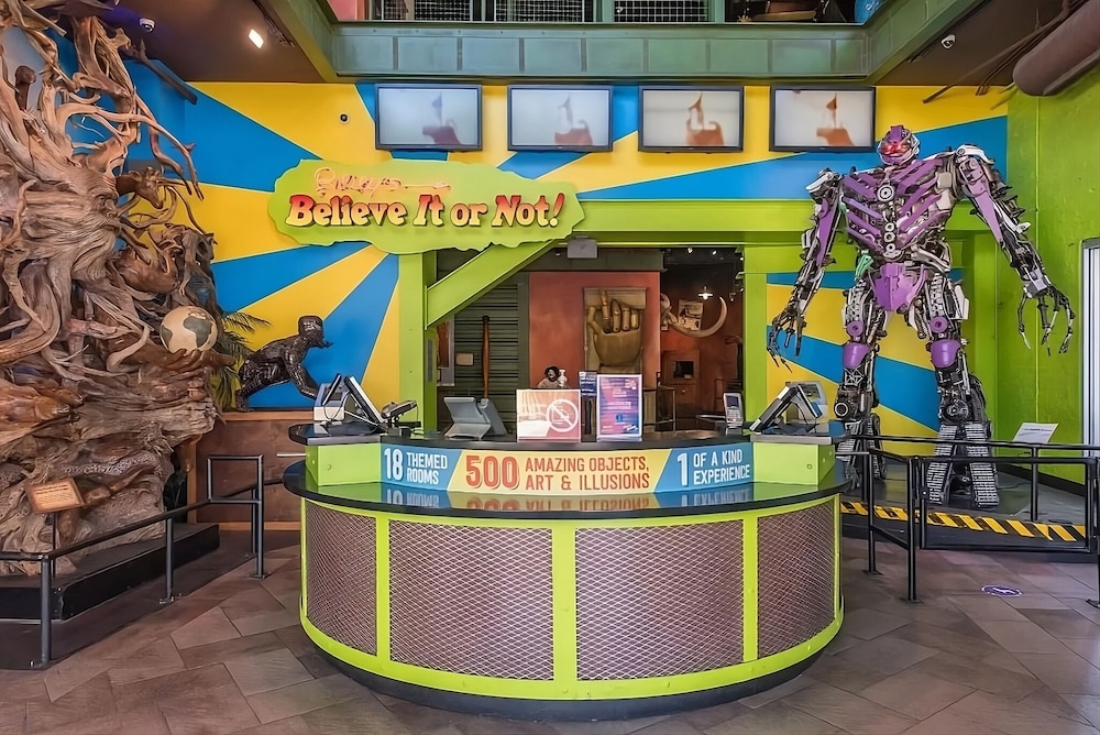 Perfect Home Base For Exploring Alamo City! Pet-friendly! Free Buffet Breakfast! - Magnolia Heights - San Antonio
