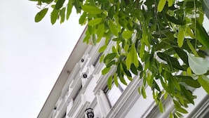 Um edifício branco com várias janelas e um galho de árvore em primeiro plano.