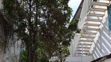 Jardim