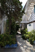 Jardim