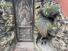 Mural de pedra com porta de madeira rústica e um pequeno jardim com plantas e flores.