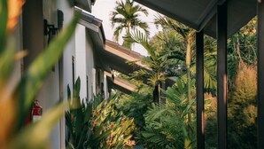 Um caminho coberto ladeado por vegetação exuberante e palmeiras, que leva a um edifício com grandes janelas.