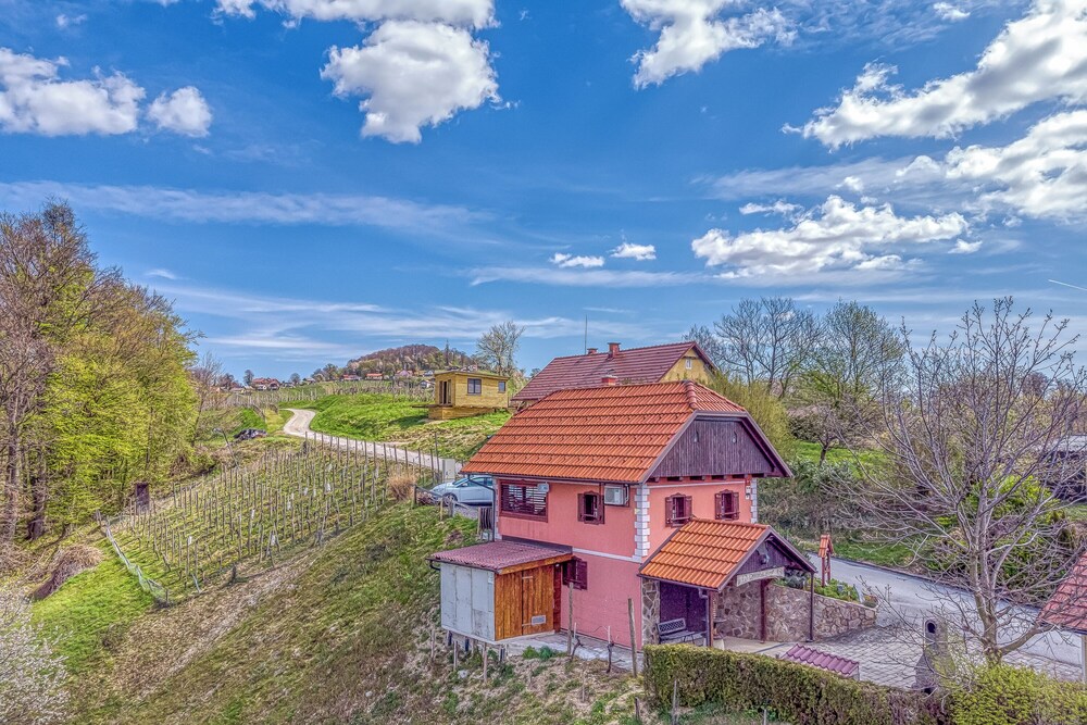 Vineyard Cottage Vesna Lake View - Slovénie