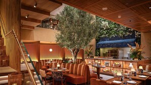 Restaurante com uma árvore central, disposição de mesas e área de bar.