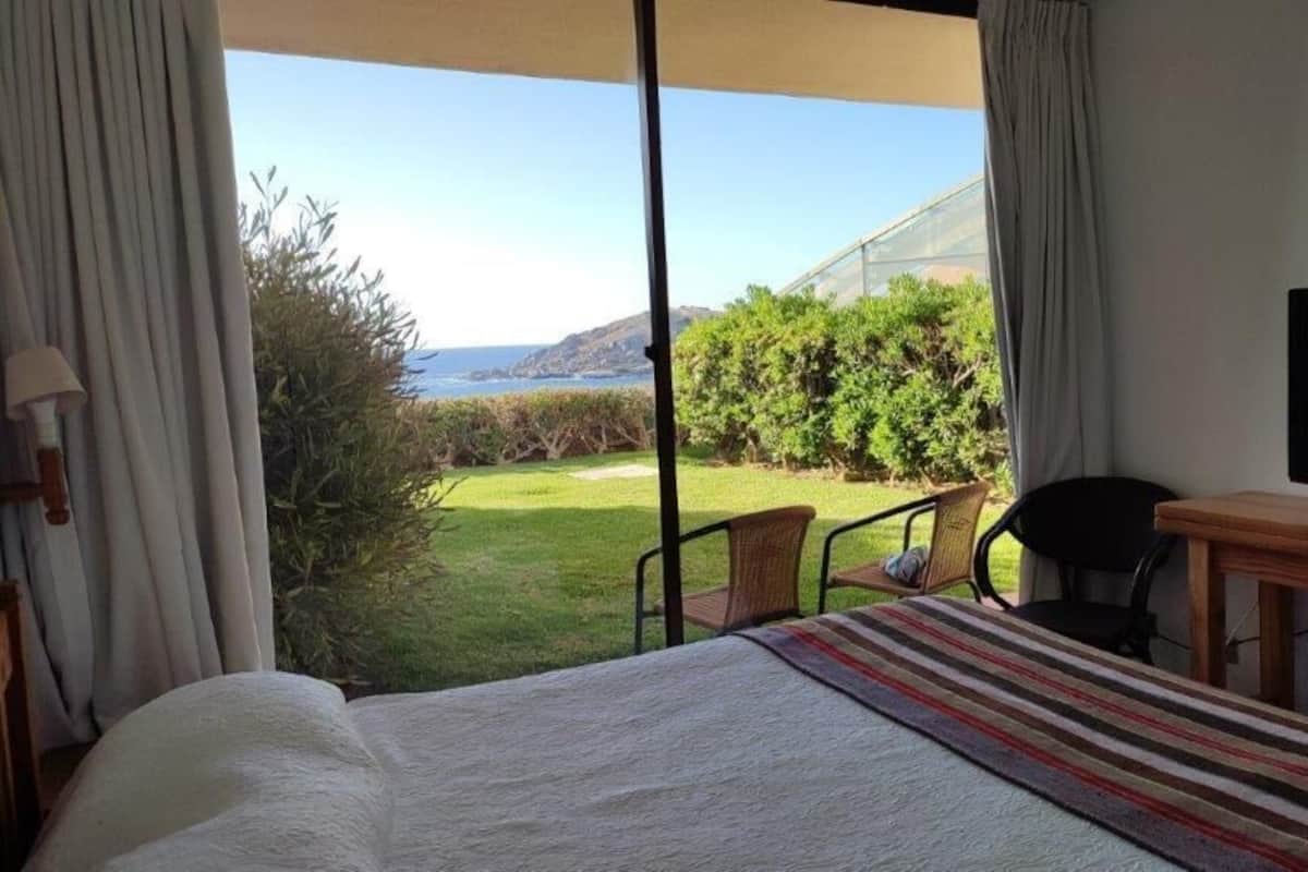 Quarto com cama, televisão e vista para o exterior.
